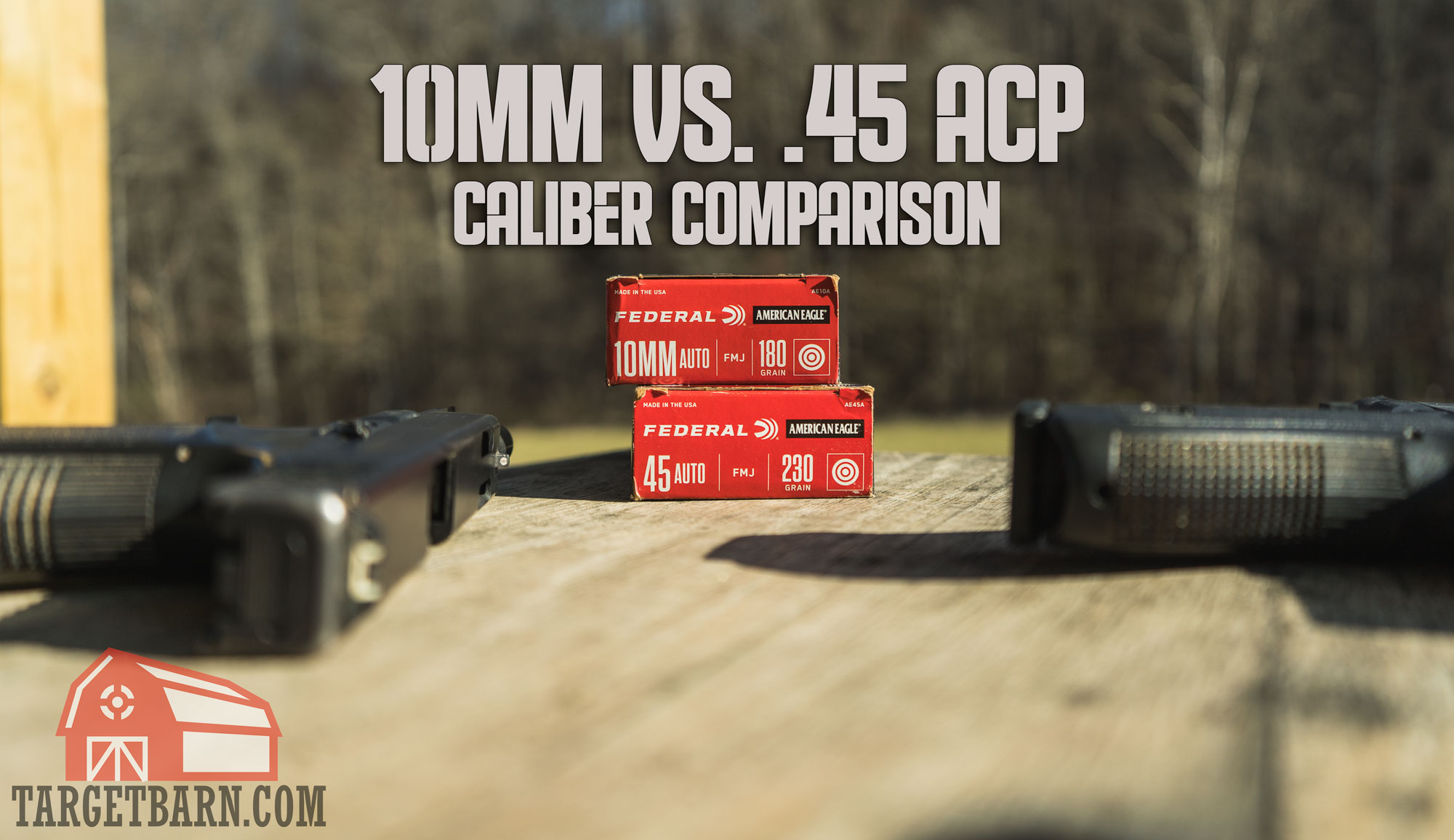 10mm vs. .45 ACP - Caliber Comparison - TargetBarn.com