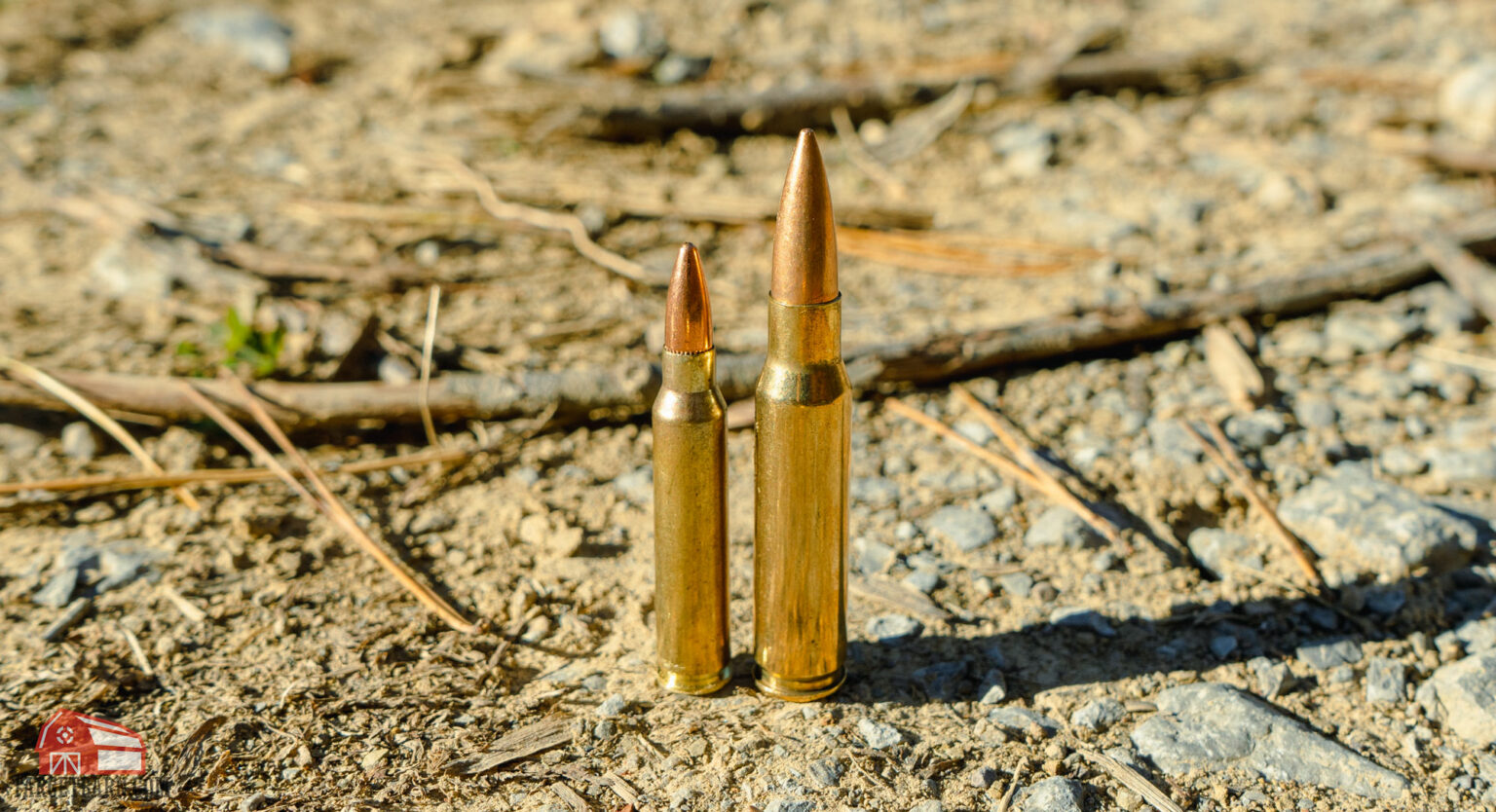 .223 vs. .308 Caliber Comparison - TargetBarn.com