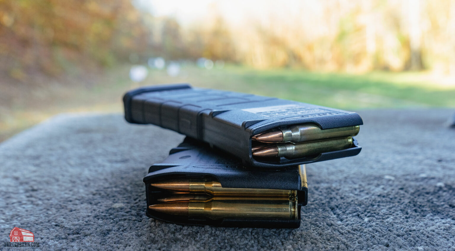 .223 vs. .308 Caliber Comparison - TargetBarn.com