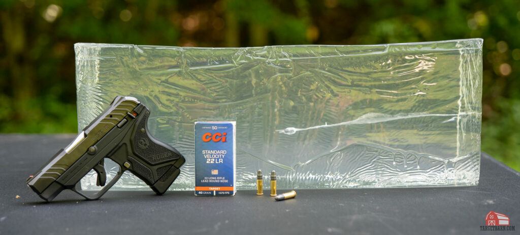 22LR for Self Defense: Why It's A Bad Idea - The Broad Side