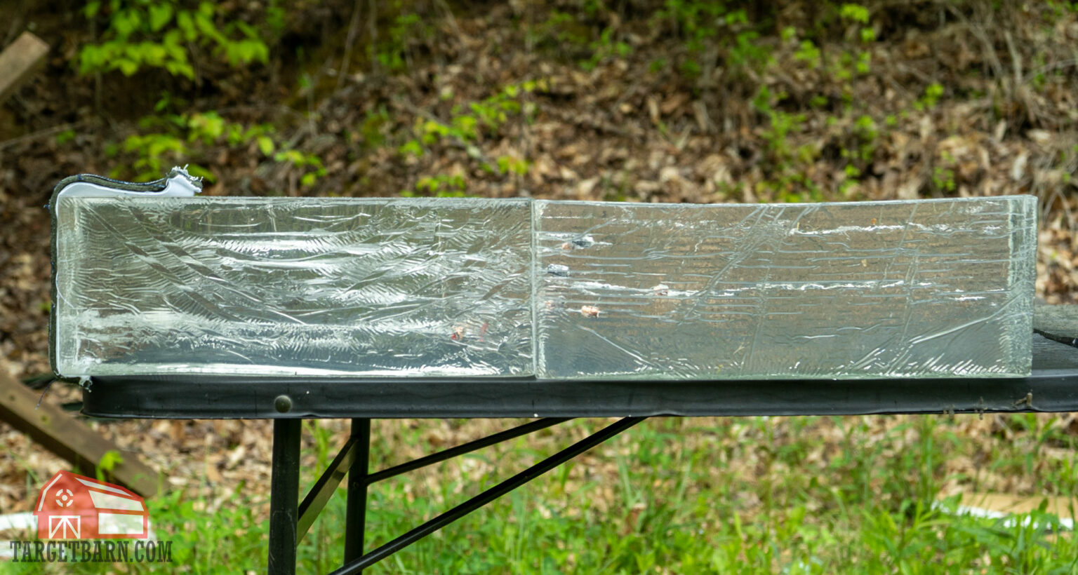 .38 Special vs. .357 Magnum - Caliber Comparison - The Broad Side