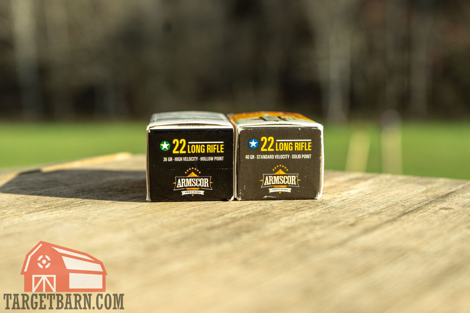 Armscor .22LR Review - The Broad Side
