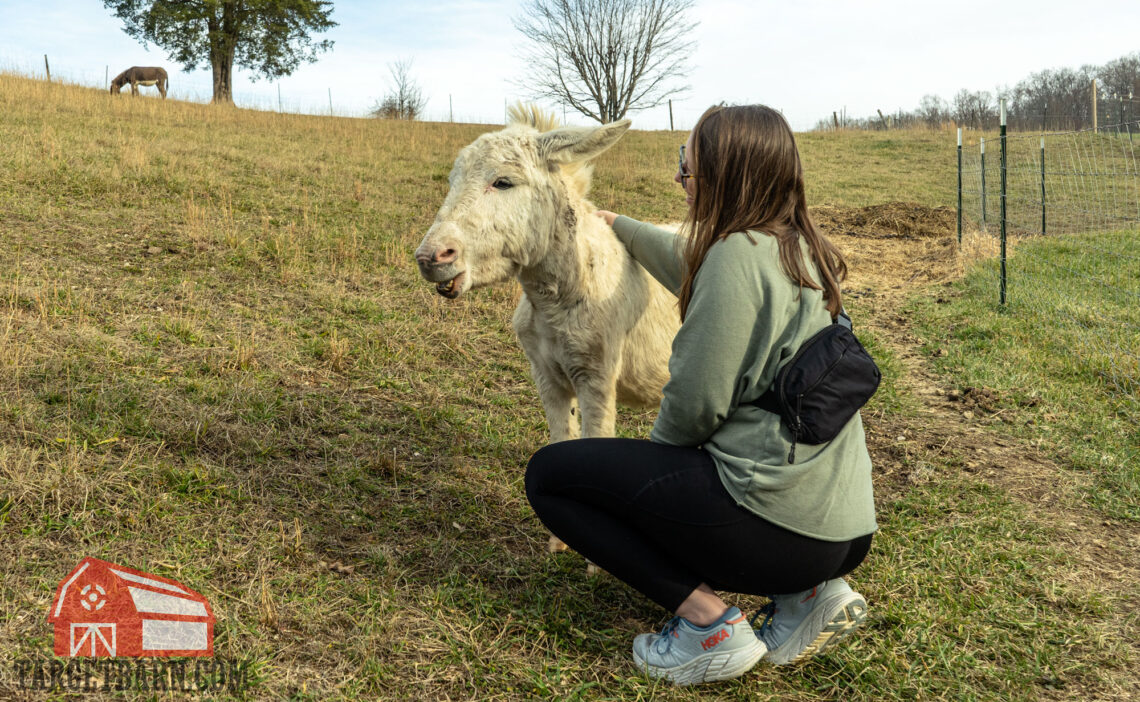 Vertx Everyday Fanny Pack Review - Lena Miculek's CCW Fanny Pack