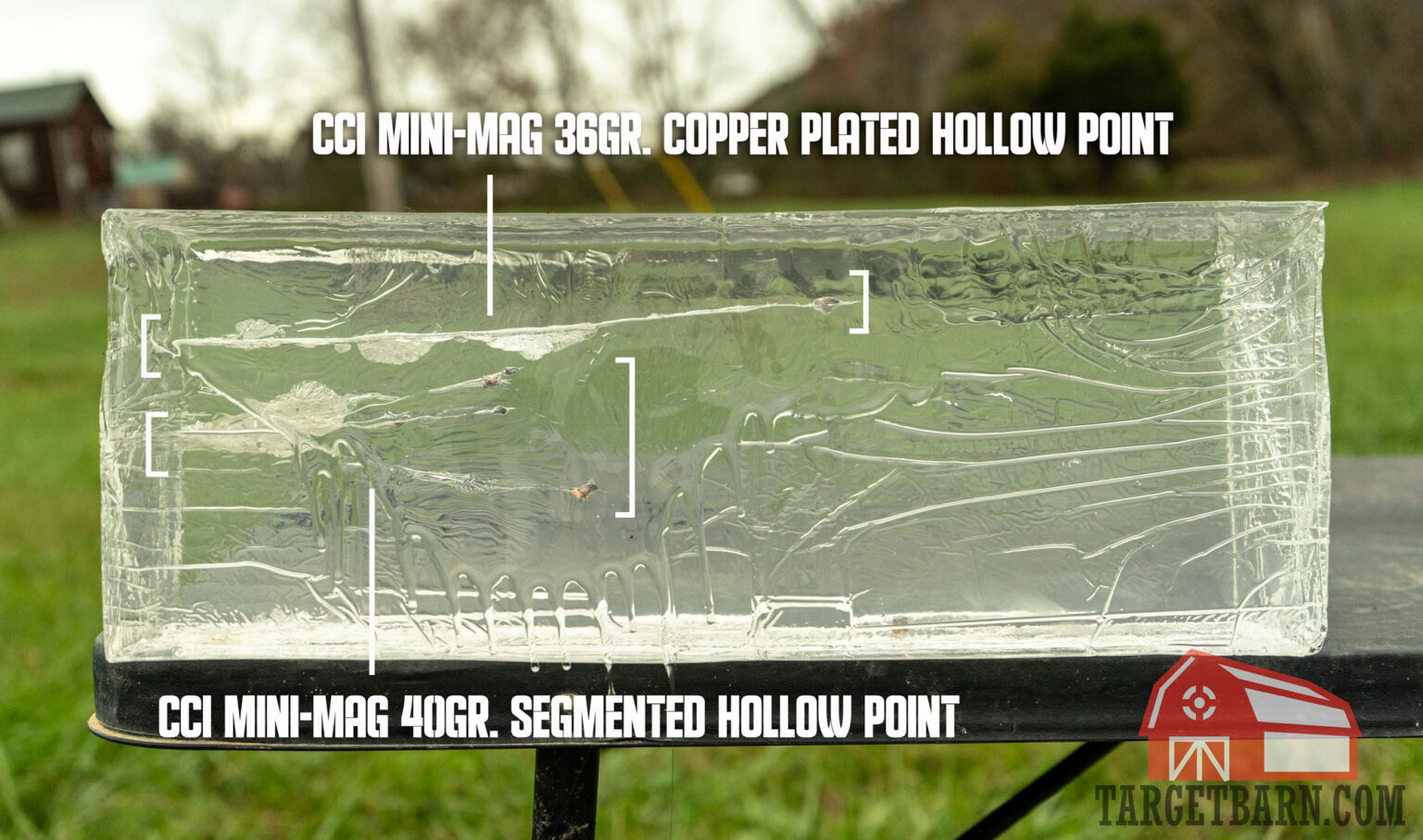 CCI Mini-Mag Review - The Broad Side